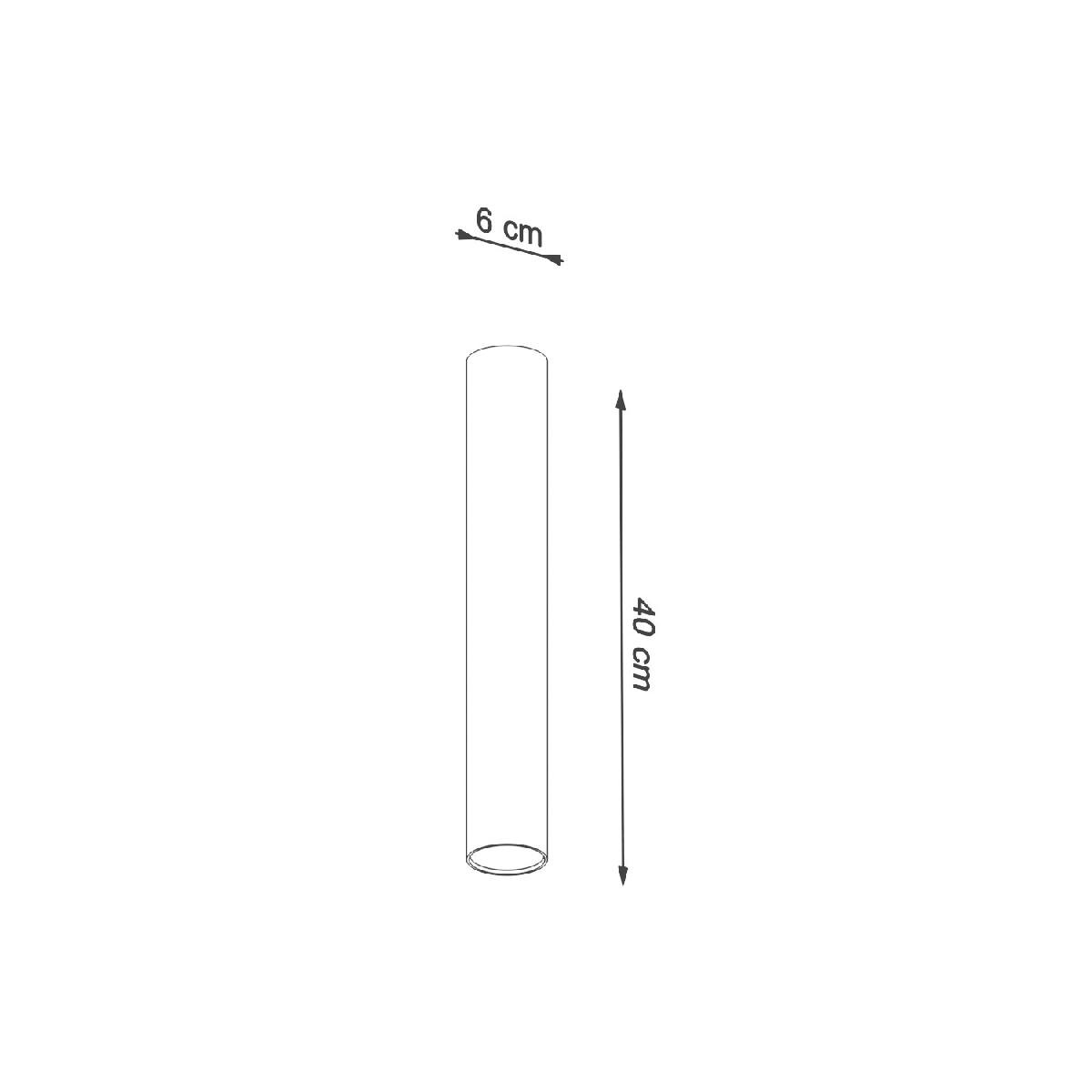 1002-10-k - Ilumnia